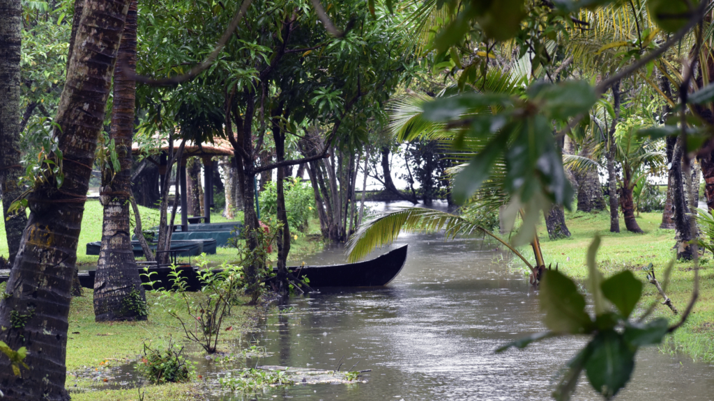 The Ultimate Indian Monsoon Experience: Best Places to Visit During the ...